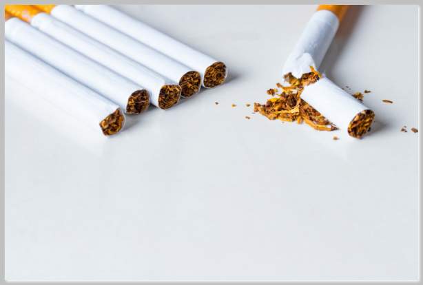 Nikotin Nedir? Zararları Nelerdir? Nikotin Kanser Yapar mı? | Tıbbı ...